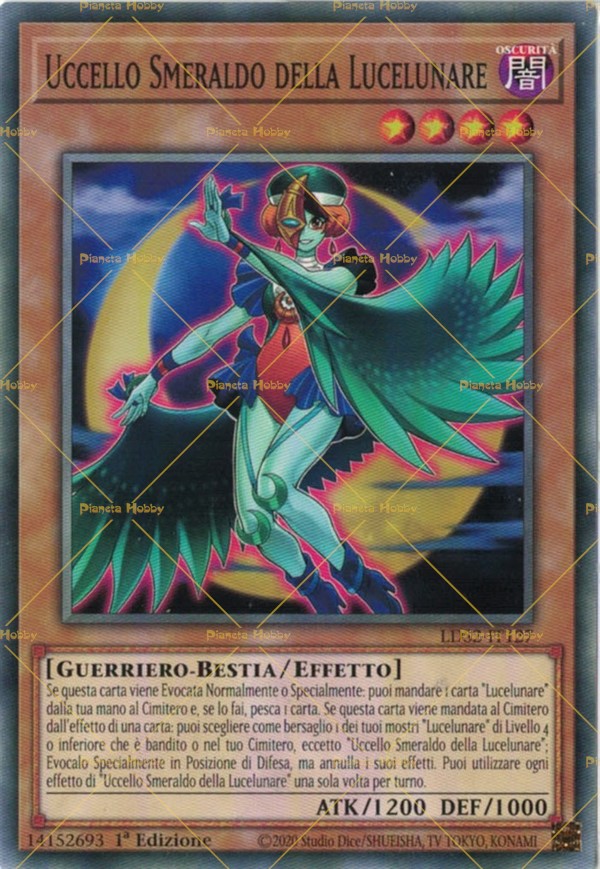 Acquistiamo Uccello Smeraldo della Lucelunare