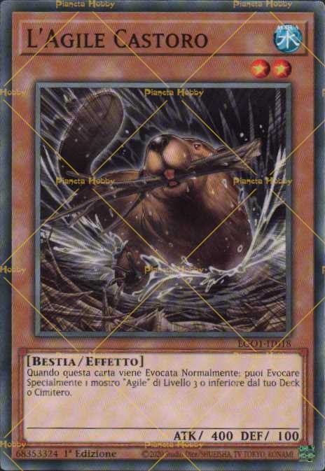 L'Agile Castoro