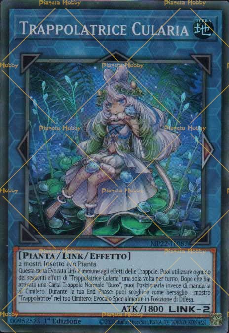 Trappolatrice Cularia