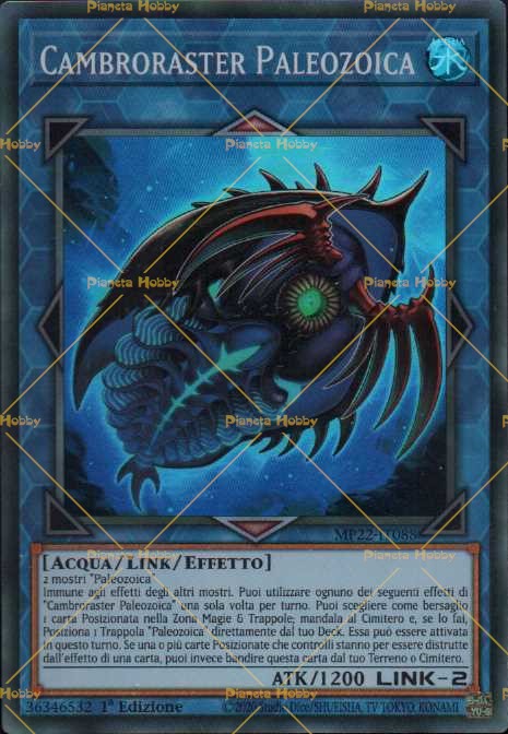 Cambroraster Paleozoica