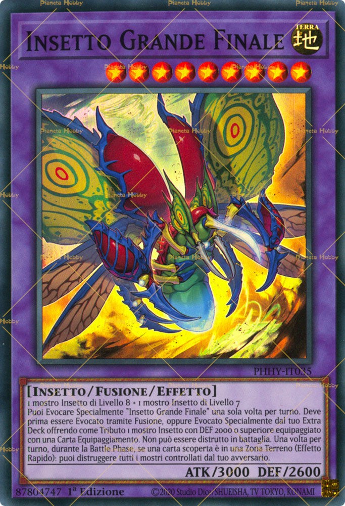 Insetto Grande Finale