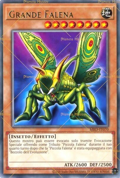 Grande Falena