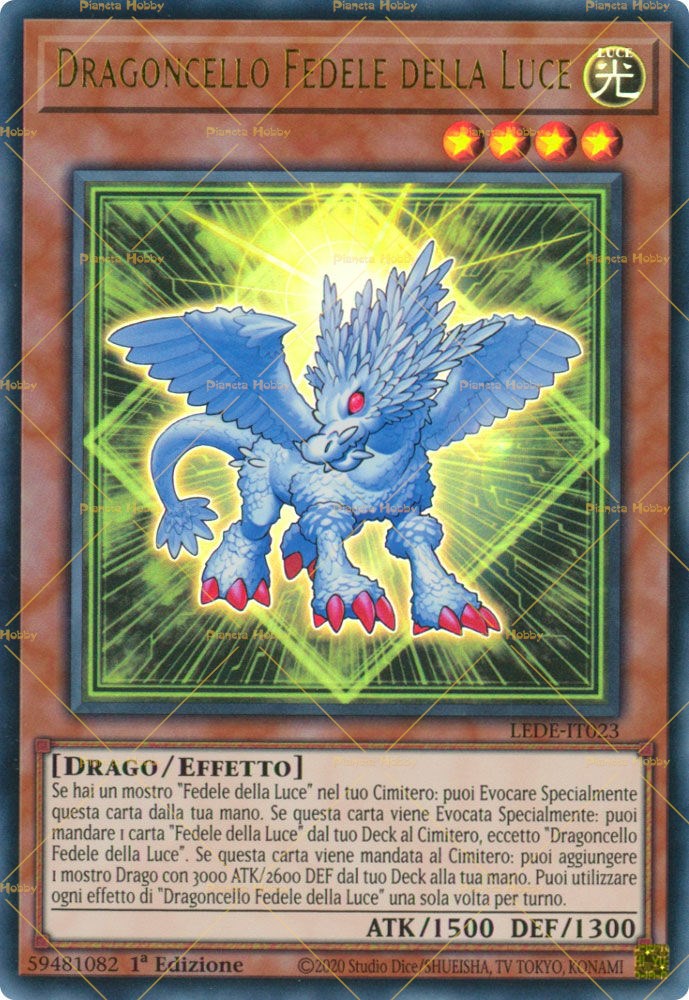 Dragoncello Fedele della Luce