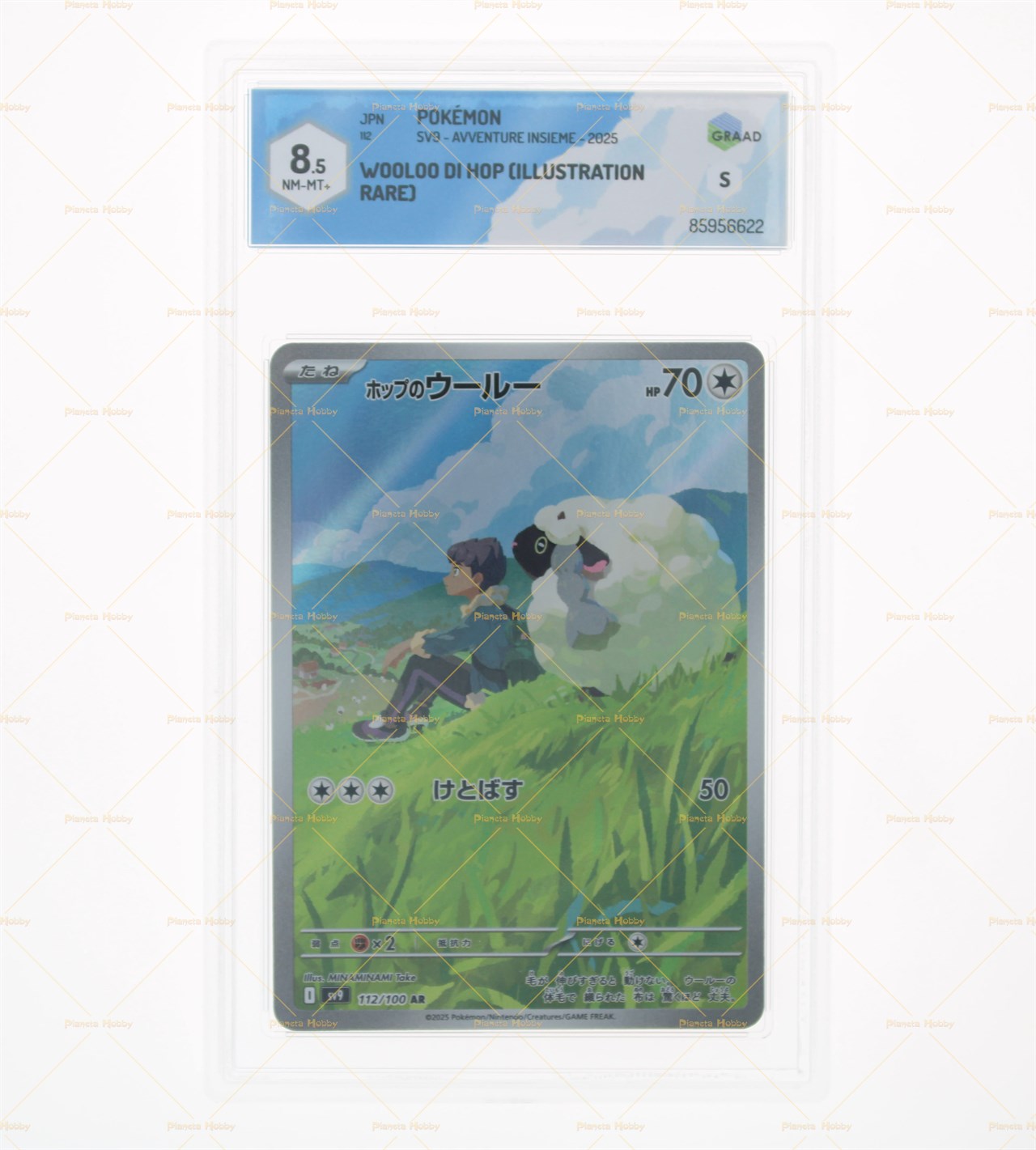 HOP'S WOOLOO (ILLUSTRATION RARE) - SV9 BATTLE PARTNERS - GRAAD 8.5 - 2025
