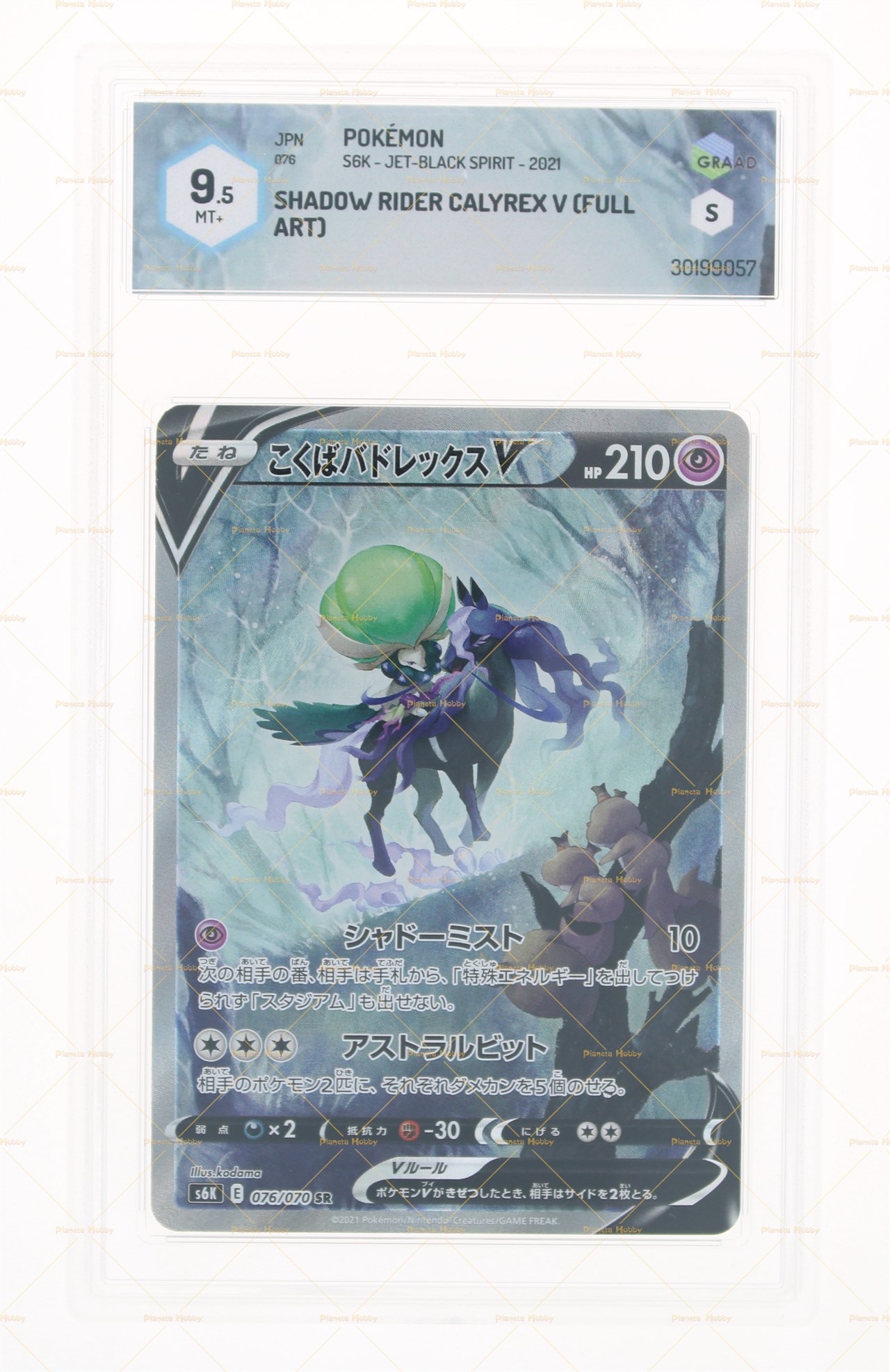 SHADOW RIDER CALYREX V (SR) - S6K JET BLACK SPIRIT - 2021