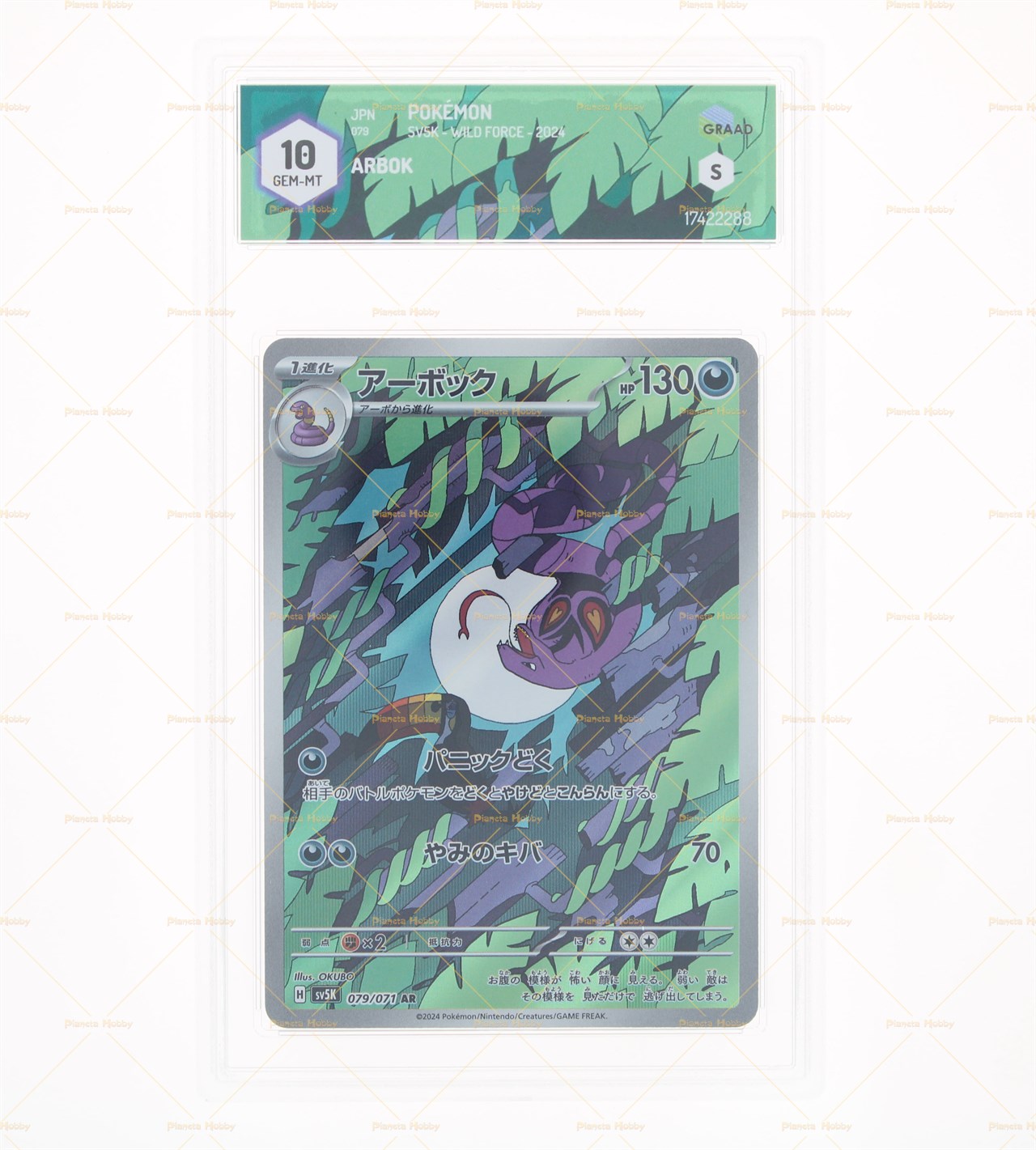 ARBOK (AR) - WILD FORCE - GRAAD 10 - 2024 - JAP