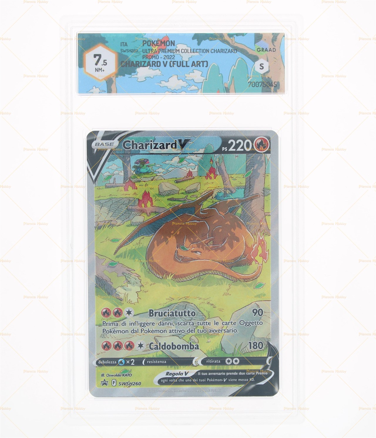 CHARIZARD V (PROMO) - ULTRA PREMIUM COLLECTION CHARIZARD PROMO - GRAAD ...