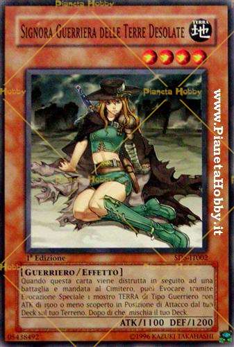 Signora Guerriera delle Terre Desolate